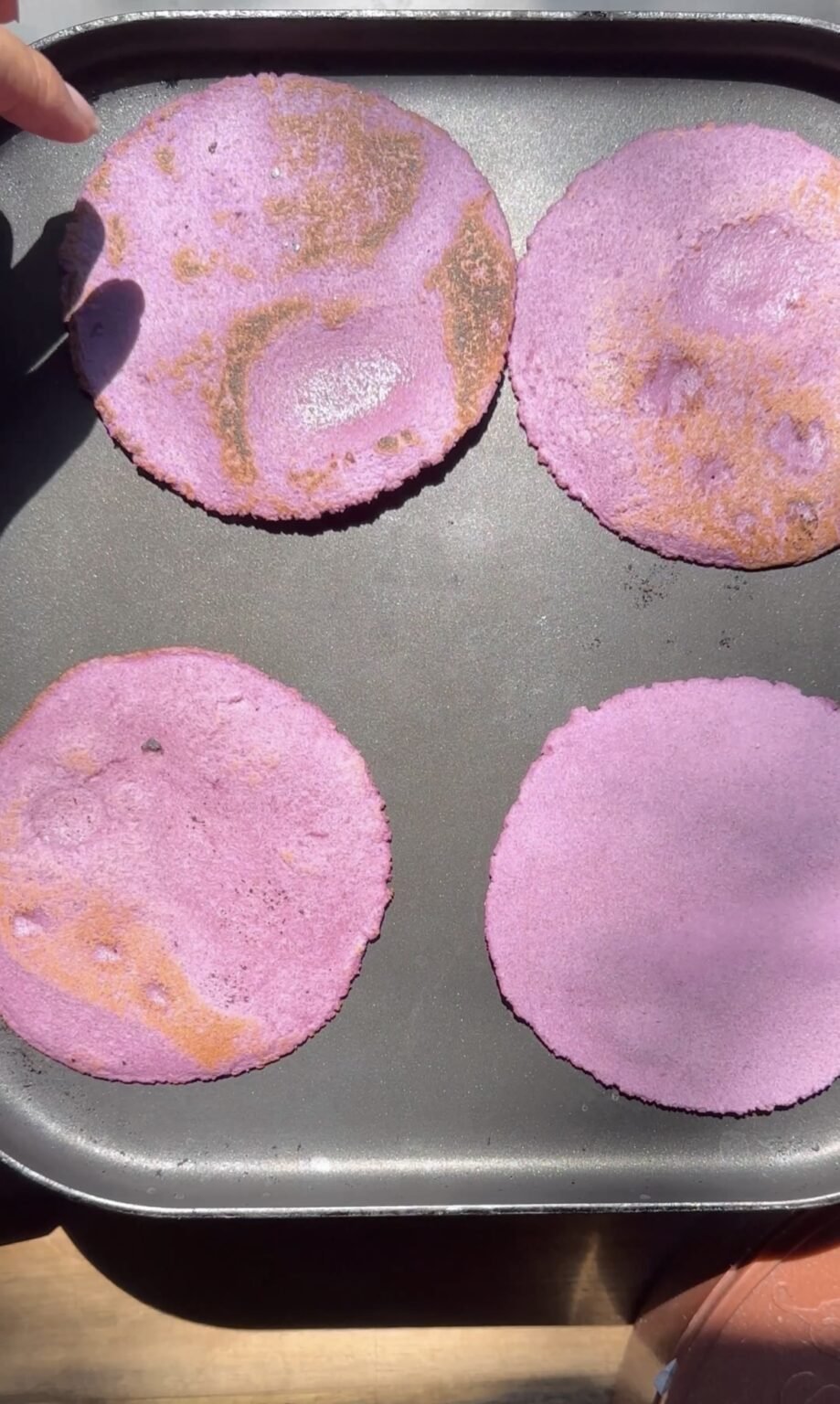 Homemade Corn Tortillas (Authentic Family Recipe)